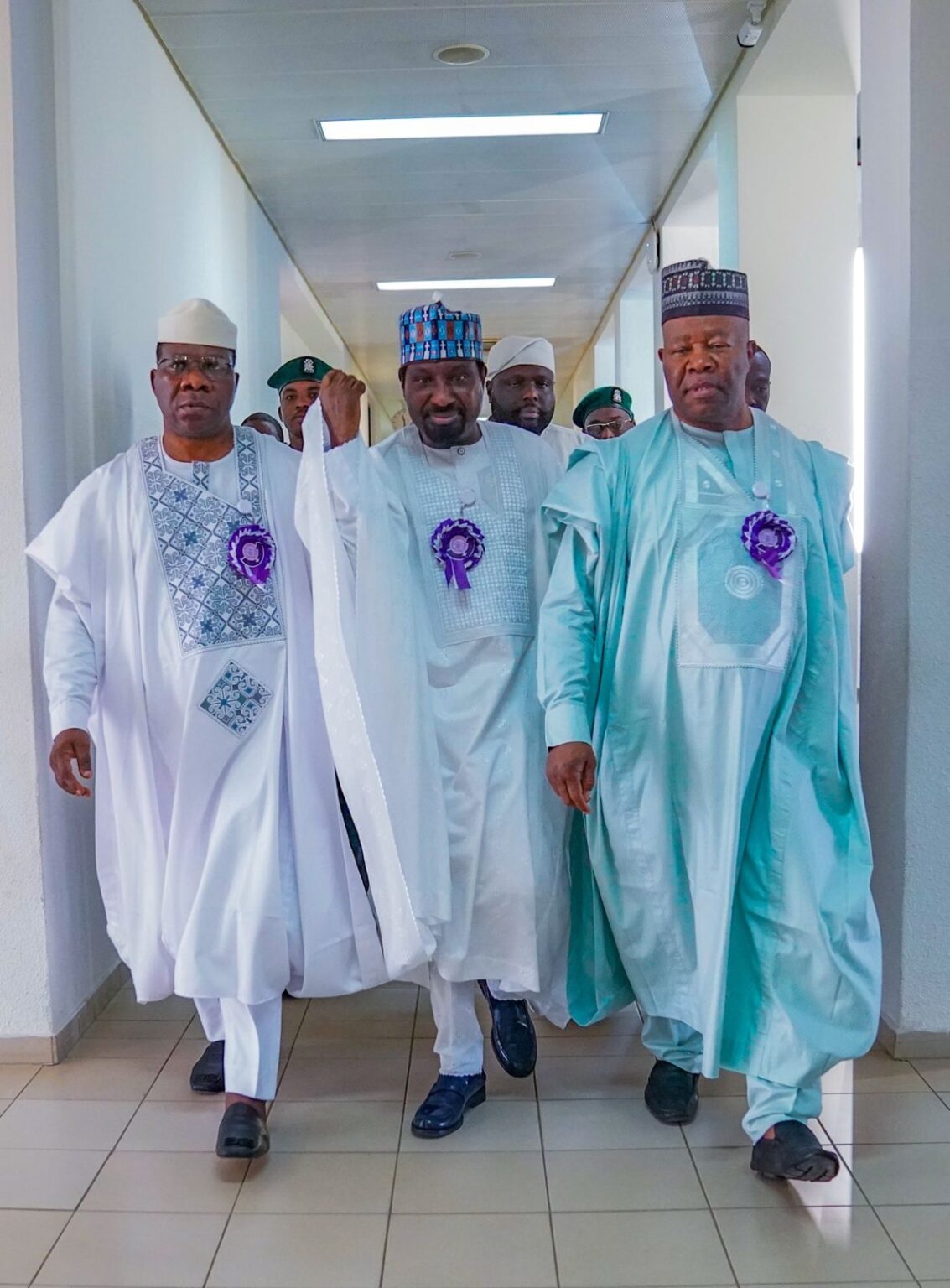 PHOTOS: Senate President, Akpabio, colleagues celebrate IWD | TheNewsGuru